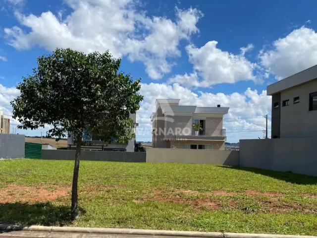 Terreno em Condomínio para Venda em Ponta Grossa/PR Jardim Carvalho