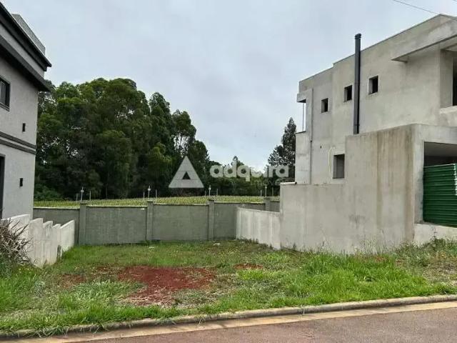 Terreno em Condomínio para Venda em Ponta Grossa/PR Jardim Carvalho