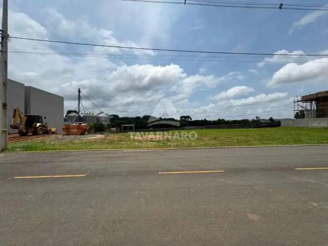 Terreno em Condomínio para Venda em Ponta Grossa/PR Jardim Carvalho