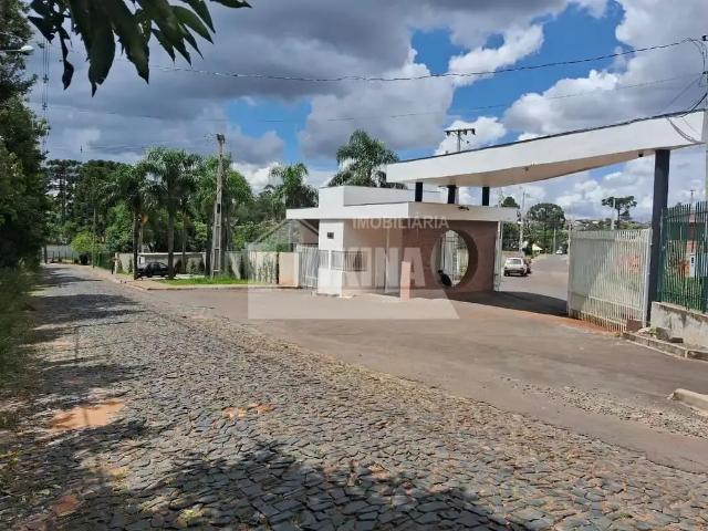 Terreno em Condomínio para Venda em Ponta Grossa/PR Jardim Carvalho