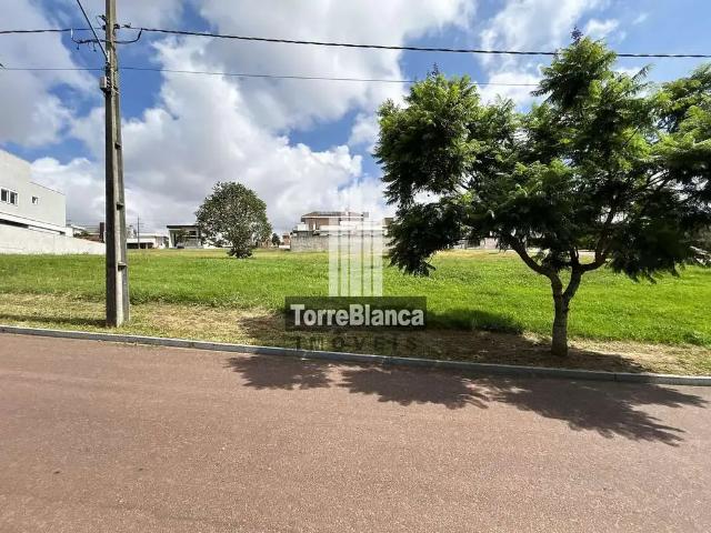 Terreno em Condomínio para Venda em Ponta Grossa/PR Jardim Carvalho