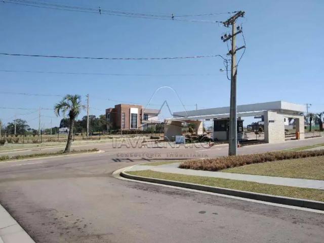 Terreno em Condomínio para Venda em Ponta Grossa/PR Jardim Carvalho