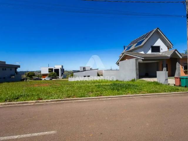 Terreno em Condomínio para Venda em Ponta Grossa/PR Jardim Carvalho