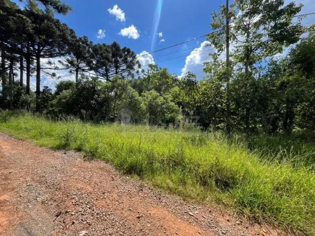 Terreno em Condomínio para Venda em Ponta Grossa/PR Núcleo Santa Luzia
