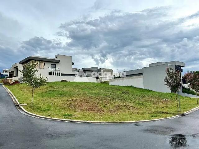 Terreno em Condomínio para Venda em Ponta Grossa/PR Orfãs