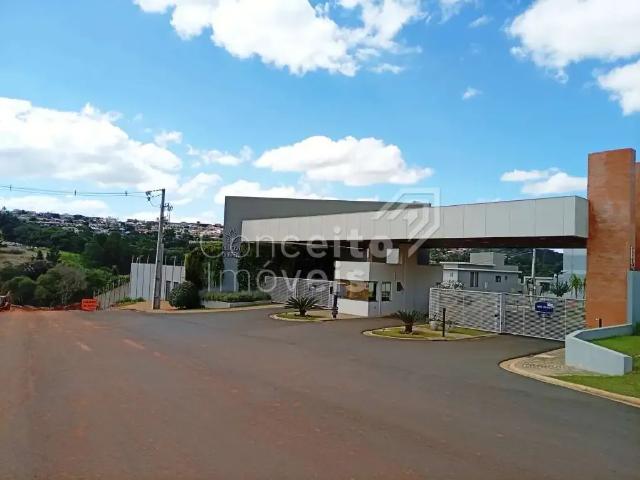Terreno em Condomínio para Venda em Ponta Grossa/PR Orfãs