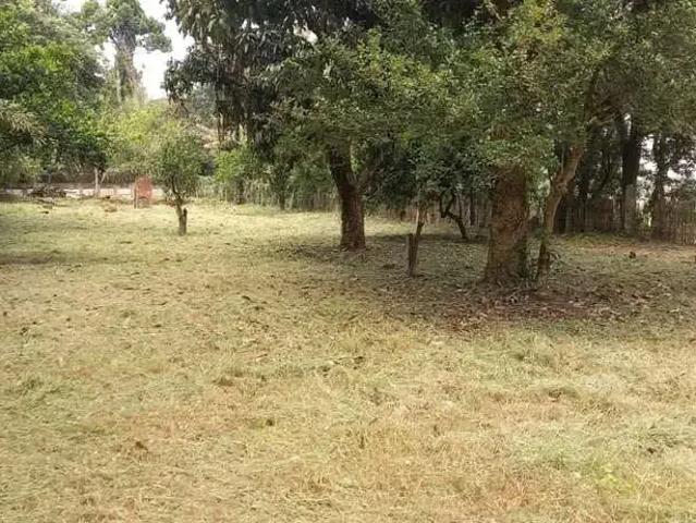 Terreno em Condomínio para Venda em Porto Alegre/RS Teresópolis