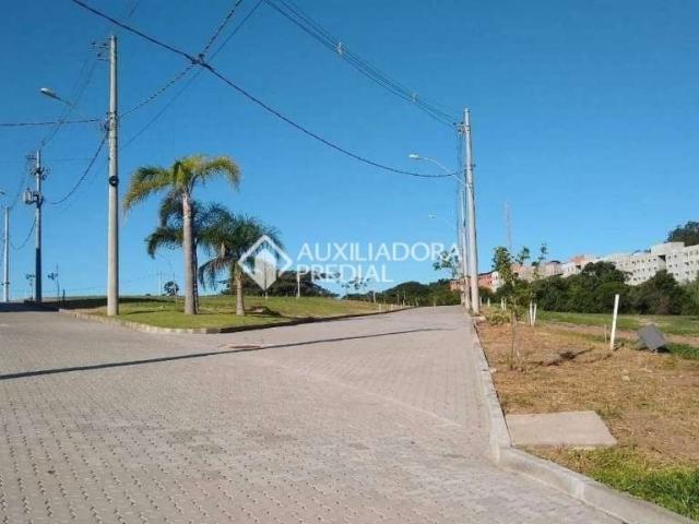 Terreno em Condomínio para Venda em Porto Alegre/RS Campo Novo