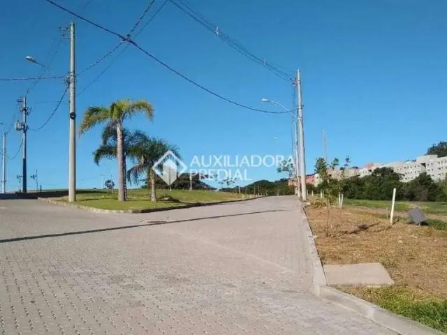 Terreno em Condomínio para Venda em Porto Alegre/RS Campo Novo