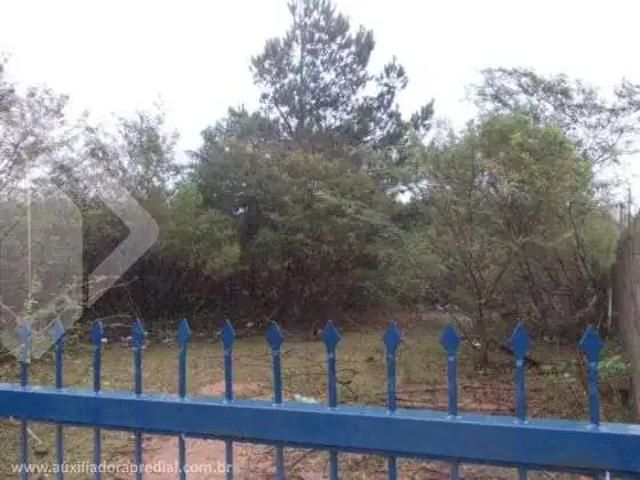Terreno em Condomínio para Venda em Porto Alegre/RS Protásio Alves