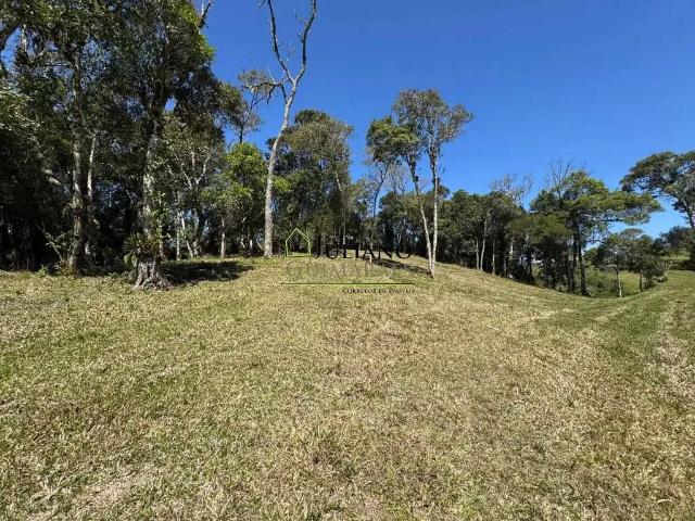 Terreno em Condomínio para Venda em Rancho Queimado/SC Vargedo