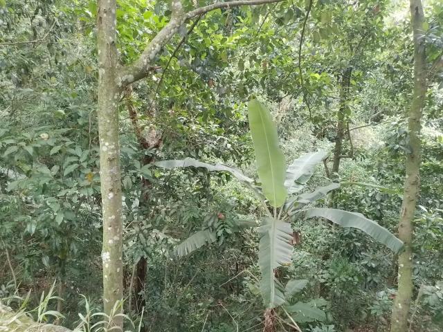 Terreno em Condomínio para Venda em Rio de Janeiro/RJ Recreio dos Bandeirantes
