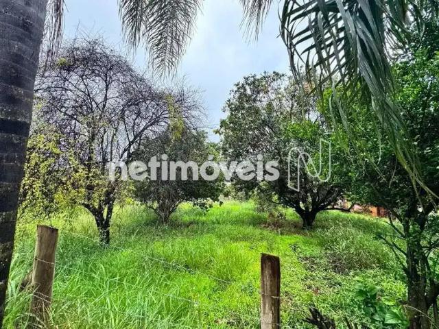 Terreno em Condomínio para Venda em Ribeirão das Neves/MG Condomínio Vale do Ouro