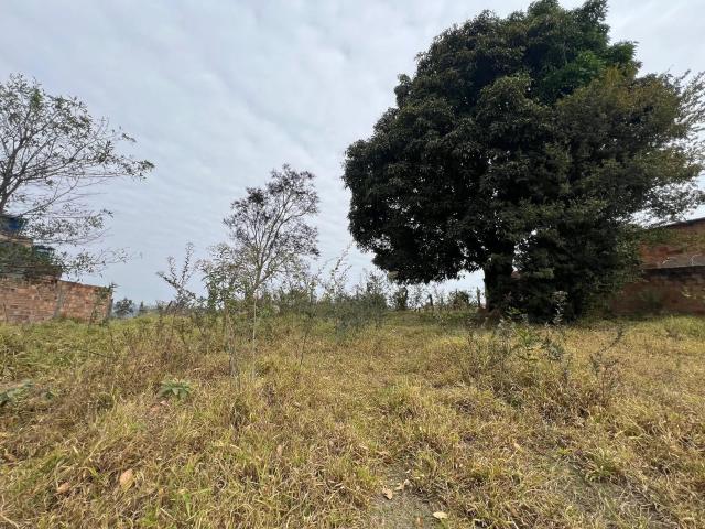 Terreno em Condomínio para Venda em Ribeirão das Neves/MG Rosaneves