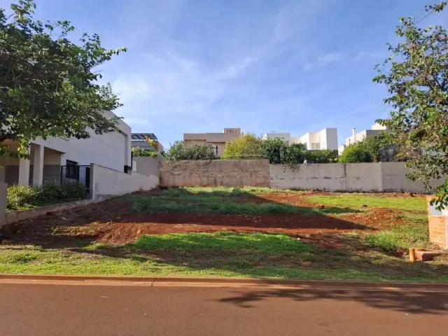 Terreno em Condomínio para Venda em Ribeirão Preto/SP Alphaville