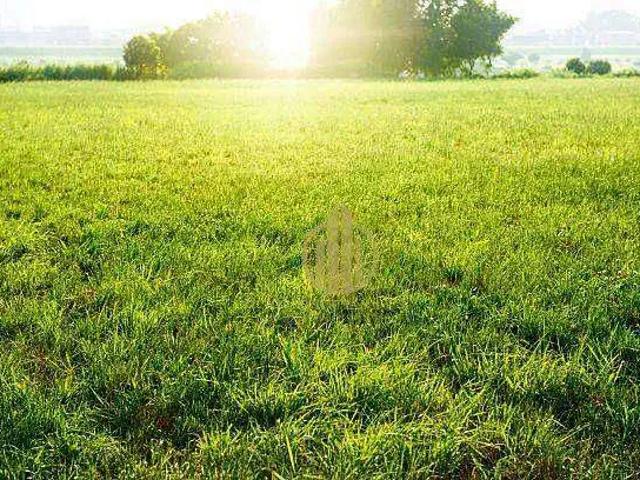 Terreno em Condomínio para Venda em Ribeirão Preto/SP Bonfim Paulista