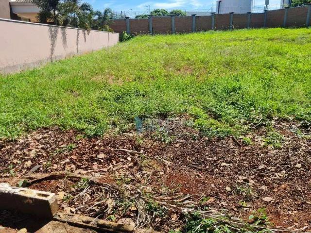 Terreno em Condomínio para Venda em Ribeirão Preto/SP Jardim Santa Cecília