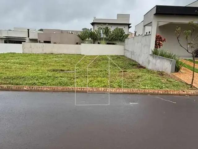 Terreno em Condomínio para Venda em Ribeirão Preto/SP Portal da Mata