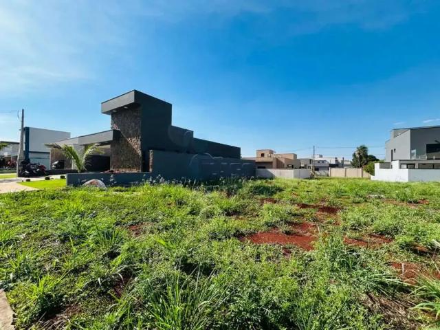 Terreno em Condomínio para Venda em Ribeirão Preto/SP Portal da Mata