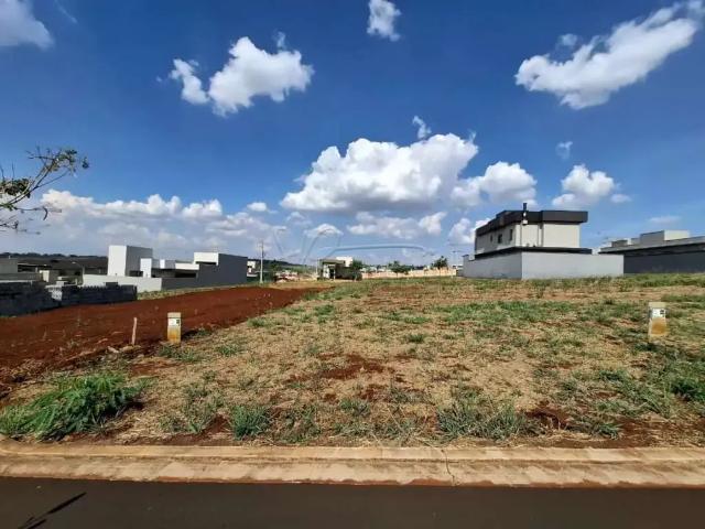 Terreno em Condomínio para Venda em Ribeirão Preto/SP Quinta da Mata