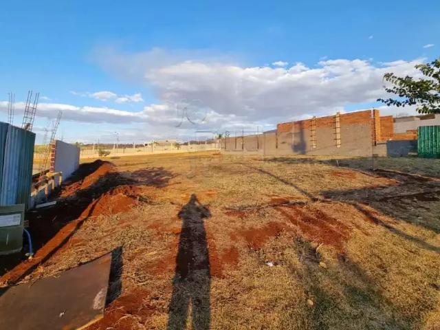 Terreno em Condomínio para Venda em Ribeirão Preto/SP Quinta da Mata
