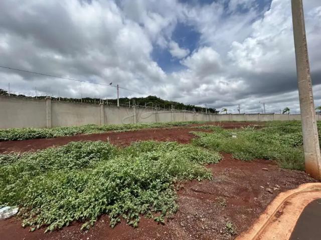 Terreno em Condomínio para Venda em Ribeirão Preto/SP Quinta da Mata