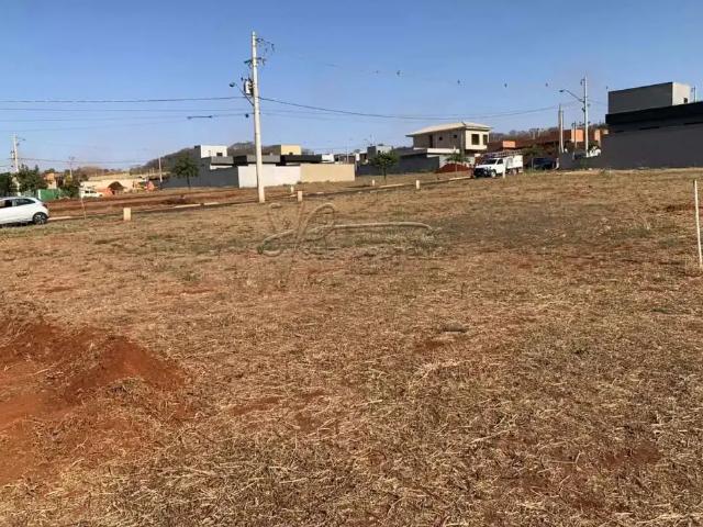 Terreno em Condomínio para Venda em Ribeirão Preto/SP Quinta da Mata