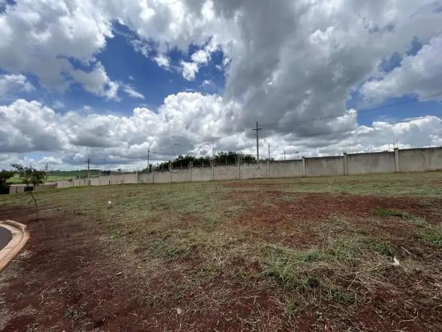 Terreno em Condomínio para Venda em Ribeirão Preto/SP Quinta da Mata