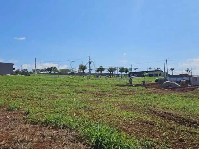 Terreno em Condomínio para Venda em Ribeirão Preto/SP Quinta da Primavera