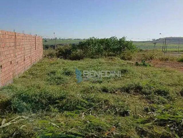 Terreno em Condomínio para Venda em Ribeirão Preto/SP Recreio Anhangüera