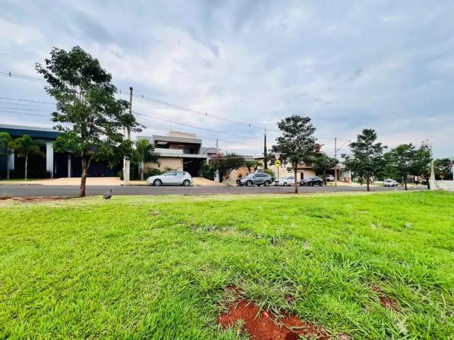 Terreno em Condomínio para Venda em Ribeirão Preto/SP Recreio das Acácias