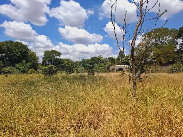 Terreno em Condomínio para Venda em Ribeirão Preto/SP Recreio Internacional