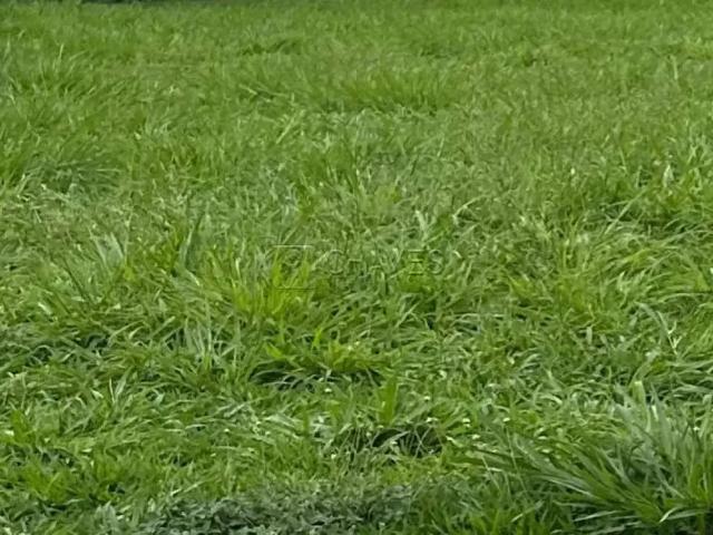 Terreno em Condomínio para Venda em Ribeirão Preto/SP Reserva Imperial