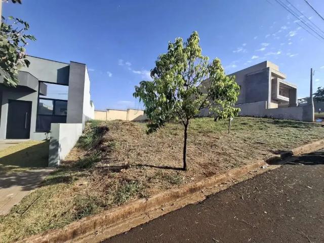 Terreno em Condomínio para Venda em Ribeirão Preto/SP Reserva San Pedro