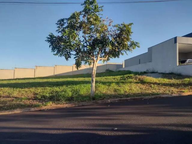 Terreno em Condomínio para Venda em Ribeirão Preto/SP Reserva San Pedro