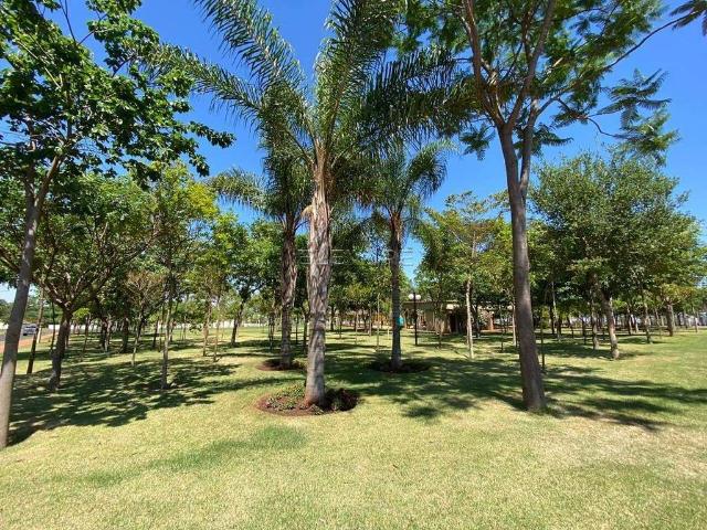 Terreno em Condomínio para Venda em Ribeirão Preto/SP Residencial Alto do Castelo