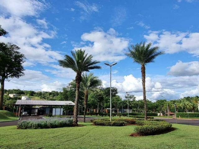 Terreno em Condomínio para Venda em Ribeirão Preto/SP Alphaville