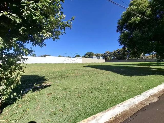 Terreno em Condomínio para Venda em Ribeirão Preto/SP Royal Park