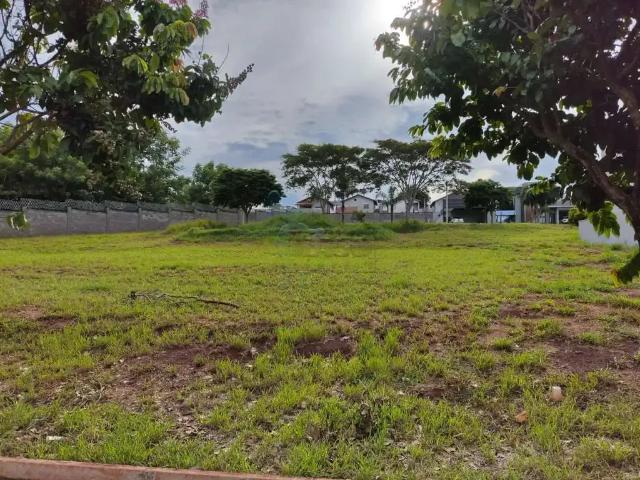 Terreno em Condomínio para Venda em Ribeirão Preto/SP Santa Martha