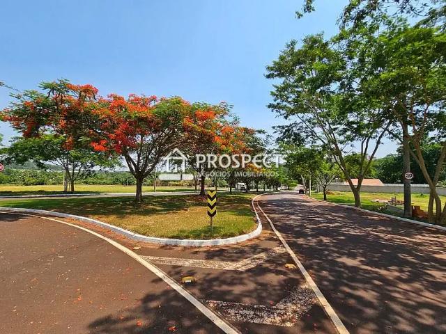 Terreno em Condomínio para Venda em Ribeirão Preto/SP Loteamento Santa Marta