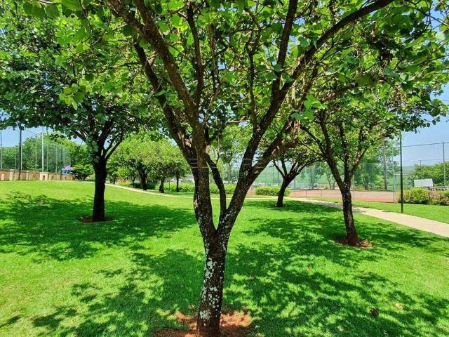 Terreno em Condomínio para Venda em Ribeirão Preto/SP Vila do Golf