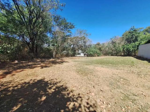 Terreno em Condomínio para Venda em Ribeirão Preto/SP Vila do Golf