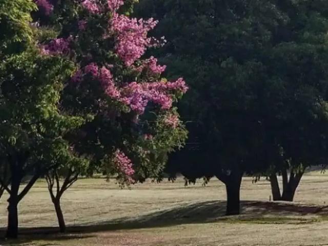 Terreno em Condomínio para Venda em Ribeirão Preto/SP Vila do Golf