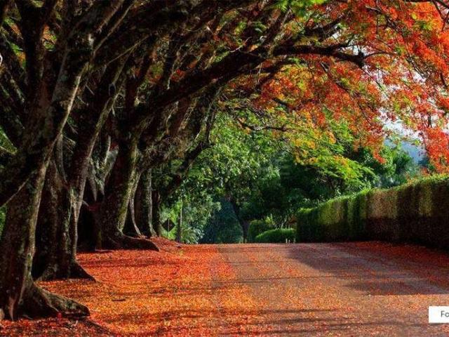 Terreno em Condomínio para Venda em Ribeirão Preto/SP Vila do Golf
