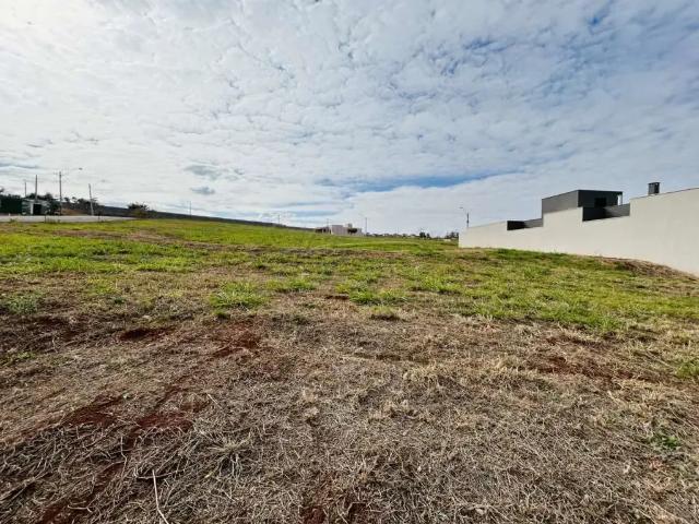 Terreno em Condomínio para Venda em Ribeirão Preto/SP Village Costa Sul