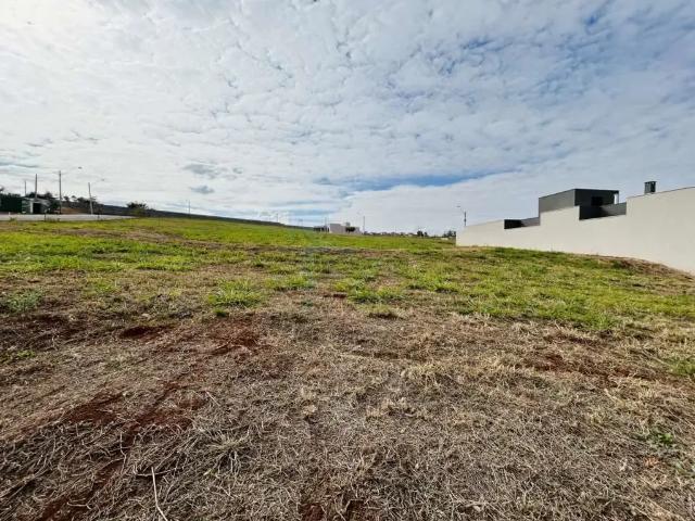 Terreno em Condomínio para Venda em Ribeirão Preto/SP Village Costa Sul