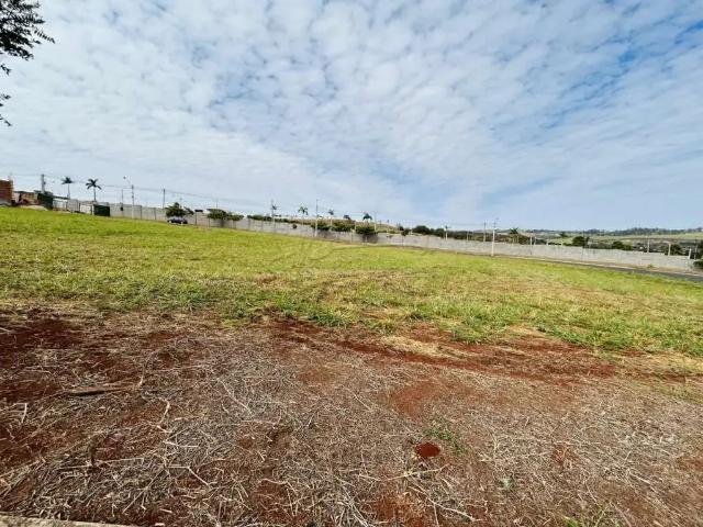 Terreno em Condomínio para Venda em Ribeirão Preto/SP Village Costa Sul