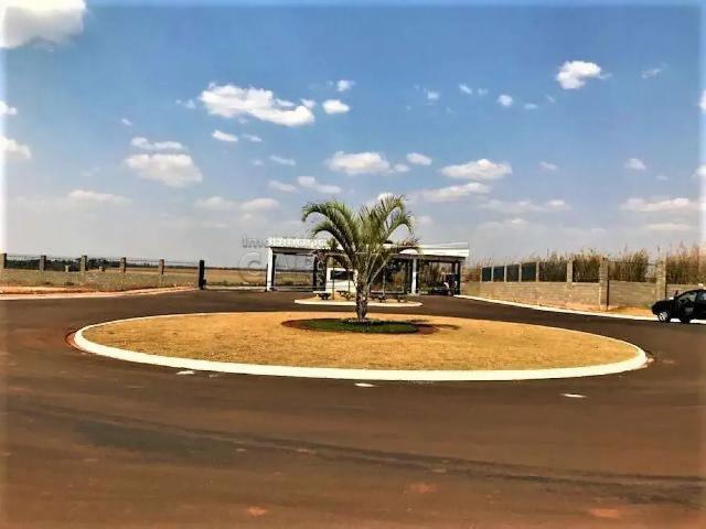 Terreno em Condomínio para Venda em São Carlos/SP Residencial Samambaia