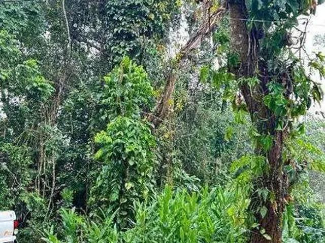 Terreno em Condomínio para Venda em São Bernardo do Campo/SP Alvarenga