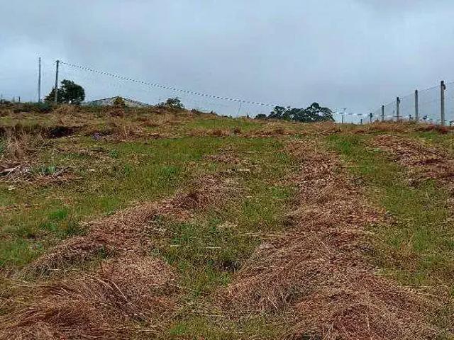 Terreno em Condomínio para Venda em São Francisco de Paula/RS Centro